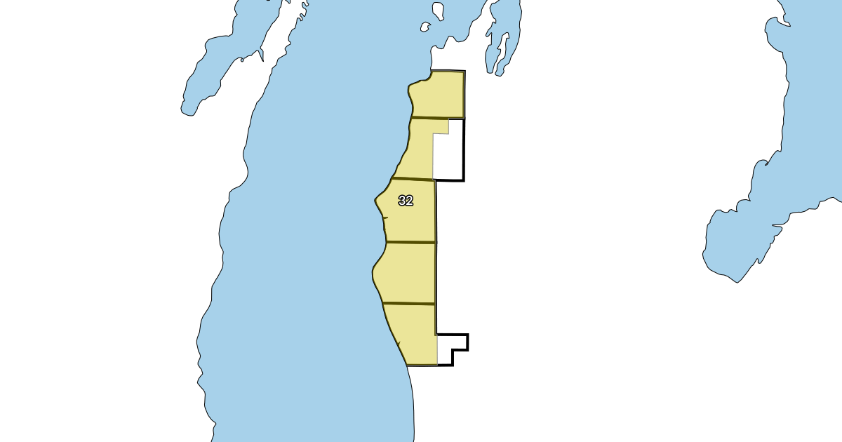 Michigan State Senate: District 32